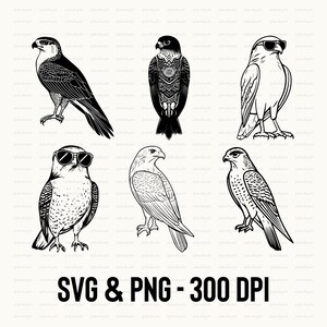 Falcon Svg Bundle, Falcon Silhouette, Falcon Clipart, Falcon Vector ...