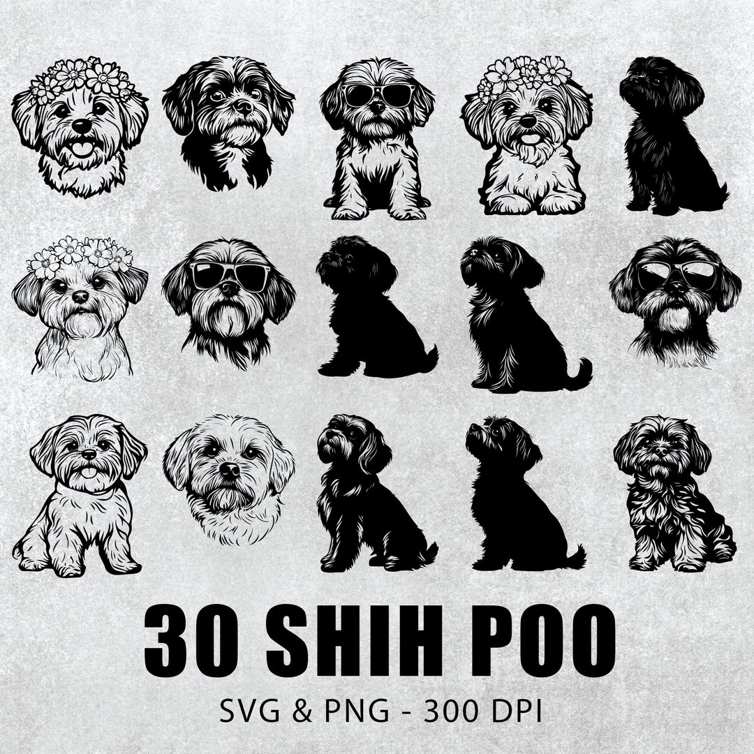 Shih Poo Svg Bundle, Shih Poo Silhouette, Shih Poo Clipart, Shih Poo ...