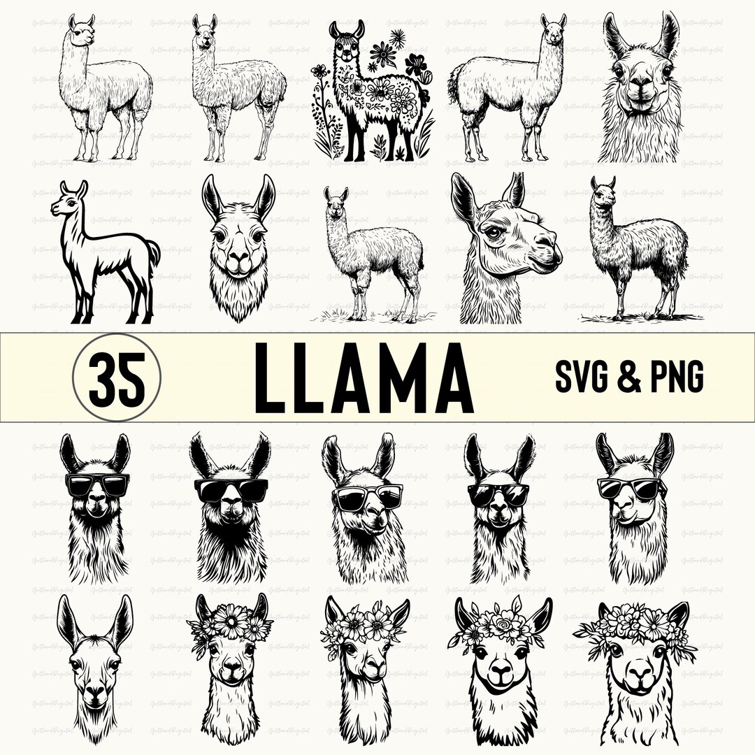 Llama Svg Bundle, Llama Silhouette, Llama Clipart, Llama Vector, Llama ...