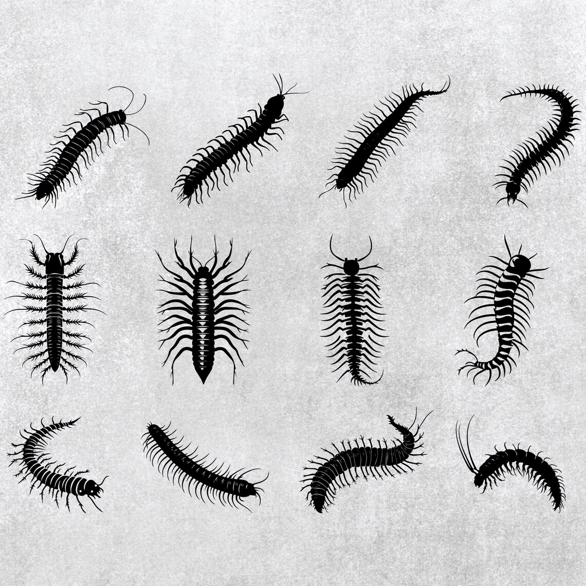 Centipede Silhouette: Vector Art SVG PNG Bundle - Etsy