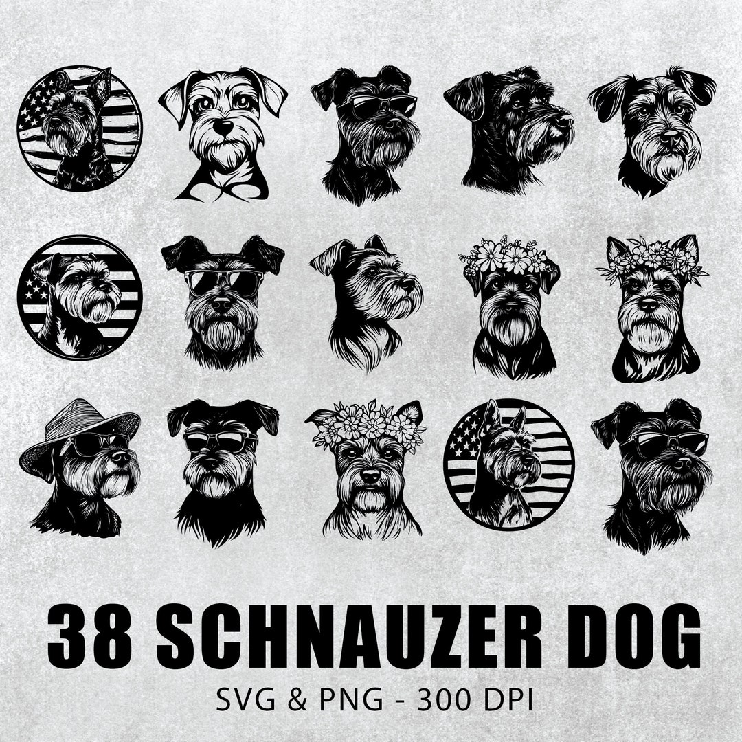 Schnauzer Svg Bundle, Schnauzer Silhouette, Schnauzer Clipart ...