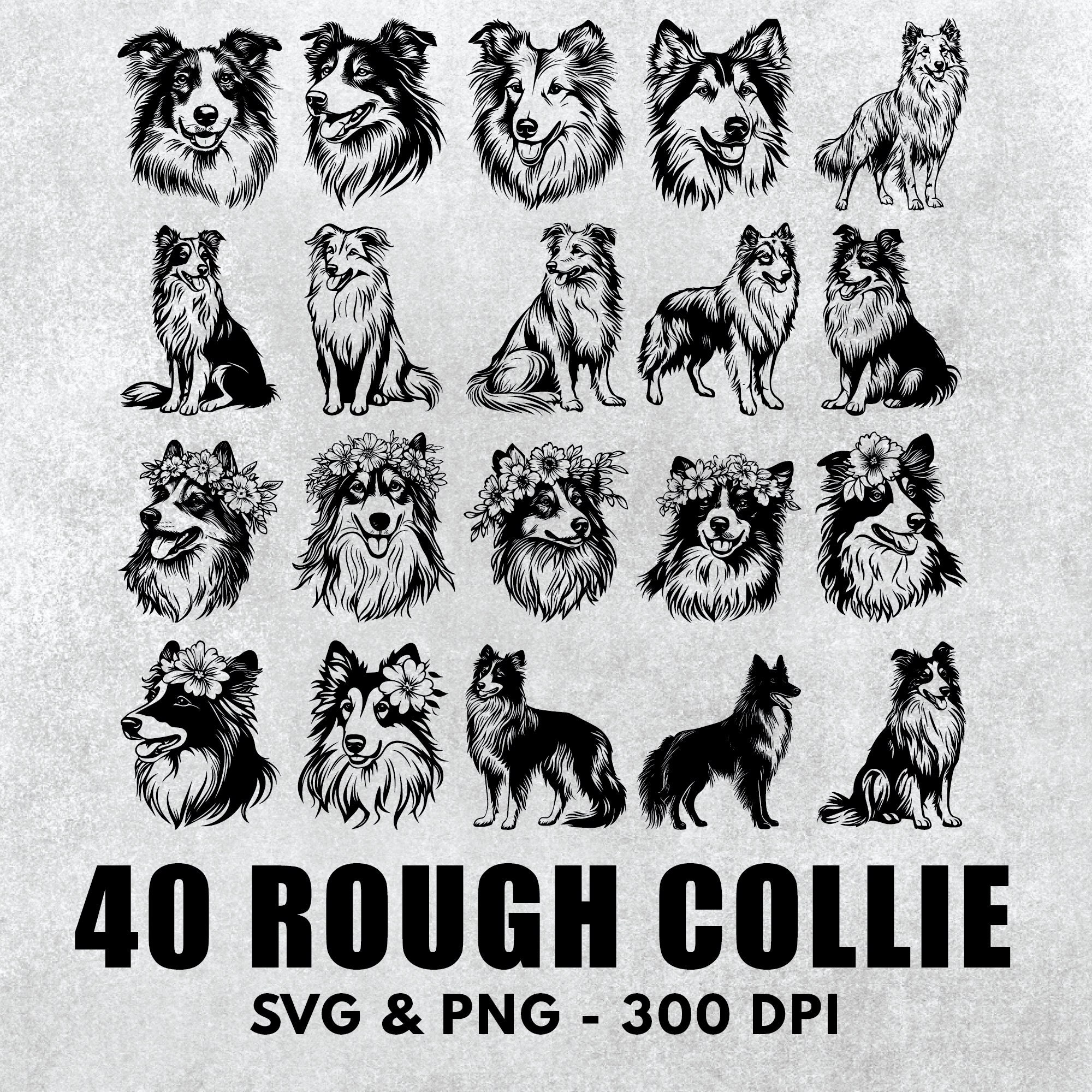 Rough Collie Silhouette Bundle, Rough Collie Vector, Rough Collie ...