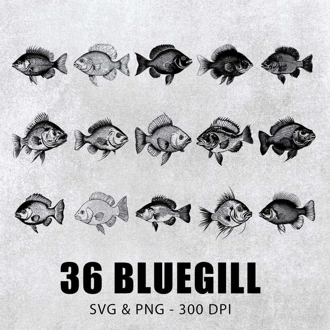 Bluegill Svg Bundle, Bluegill Silhouette, Bluegill Clipart, Bluegill ...