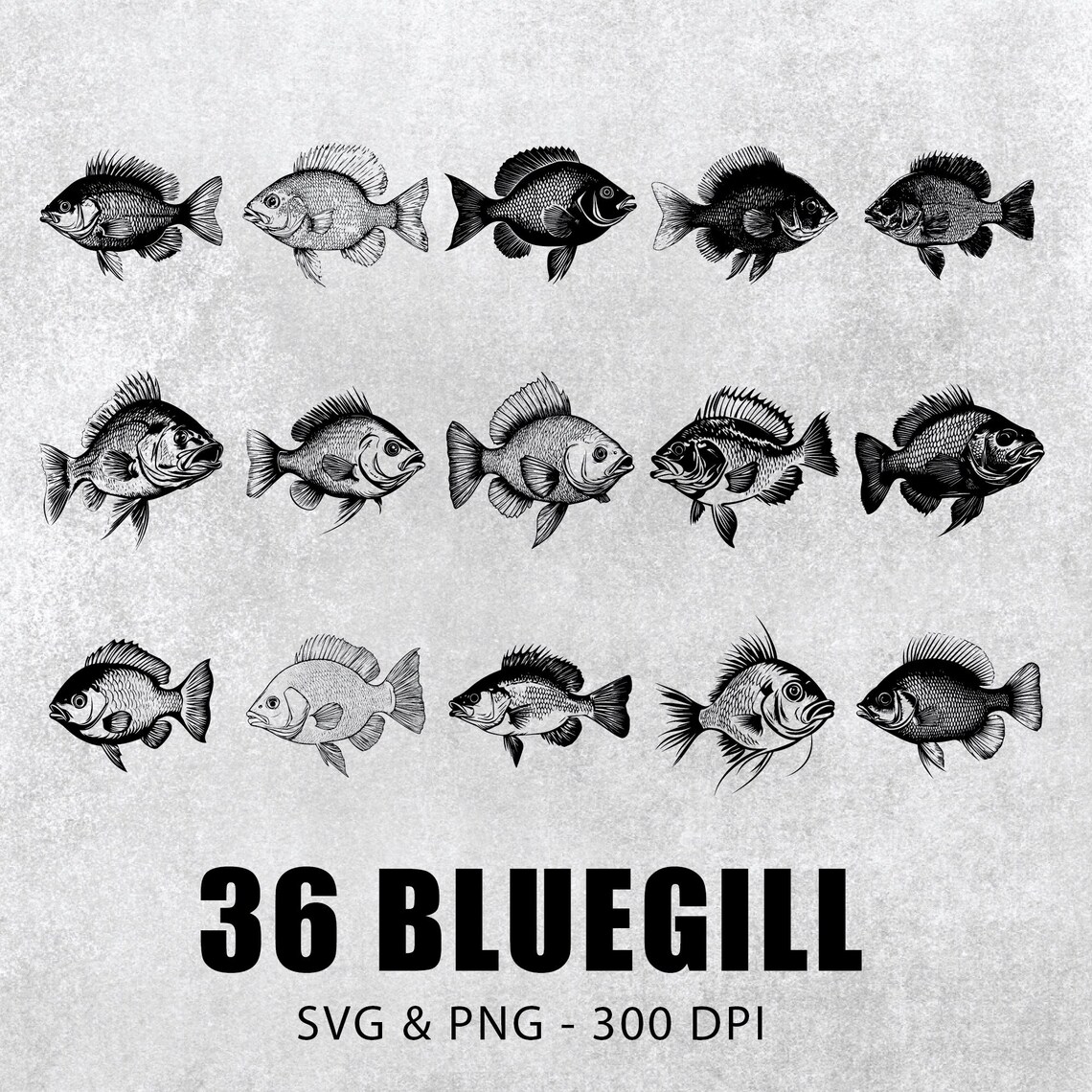Bluegill SVG Bundle: Fish Silhouette Clipart (PNG, Vector) - Etsy