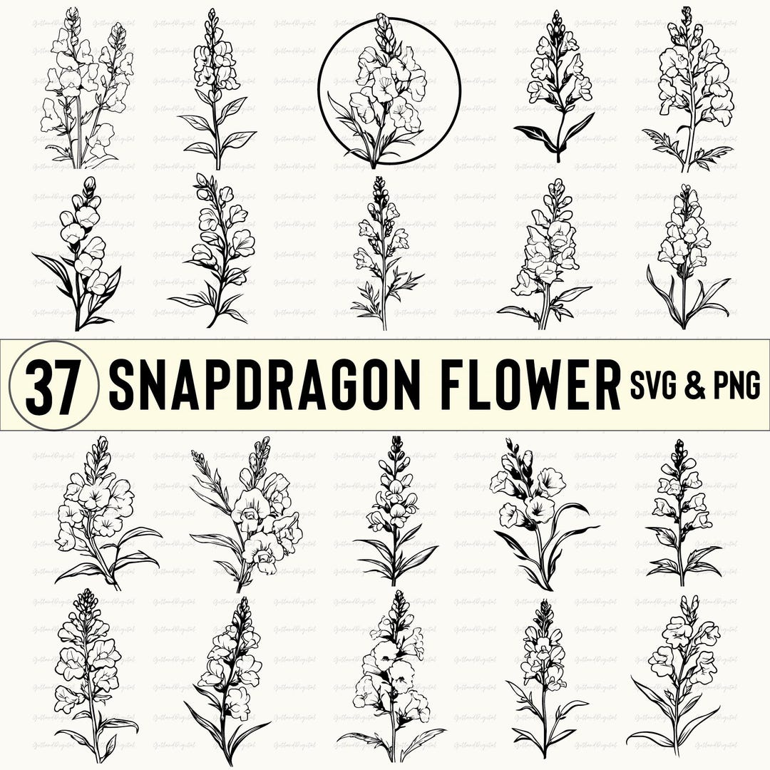 Snapdragon Flower Svg PNG Bundle, Snapdragon Flower Silhouette ...