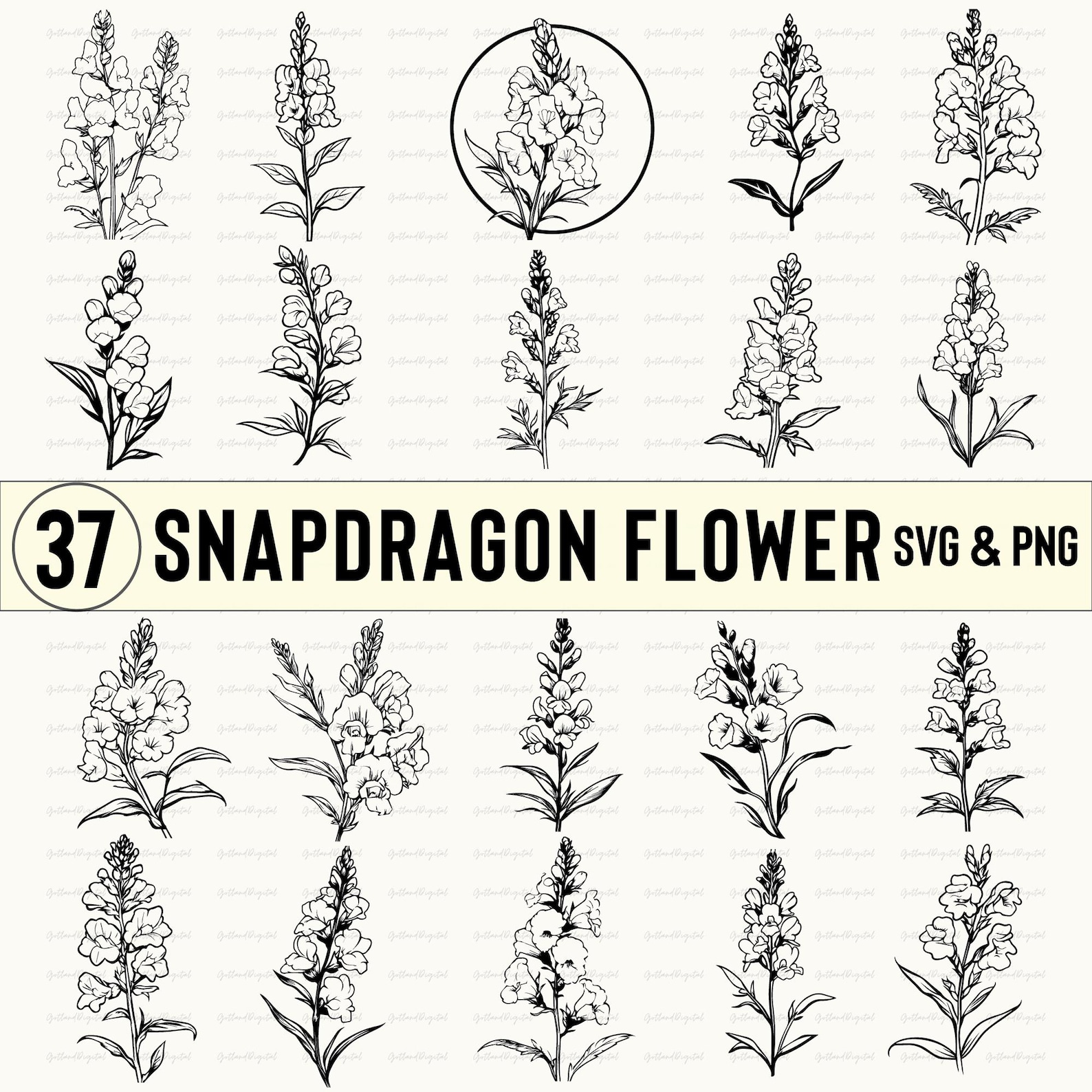 Snapdragon Flower Svg PNG Bundle, Snapdragon Flower Silhouette ...