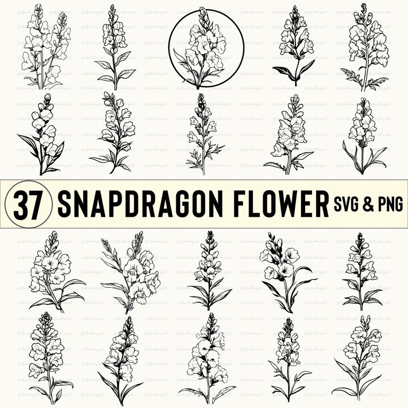 Snapdragon Flower Svg PNG Bundle, Snapdragon Flower Silhouette ...