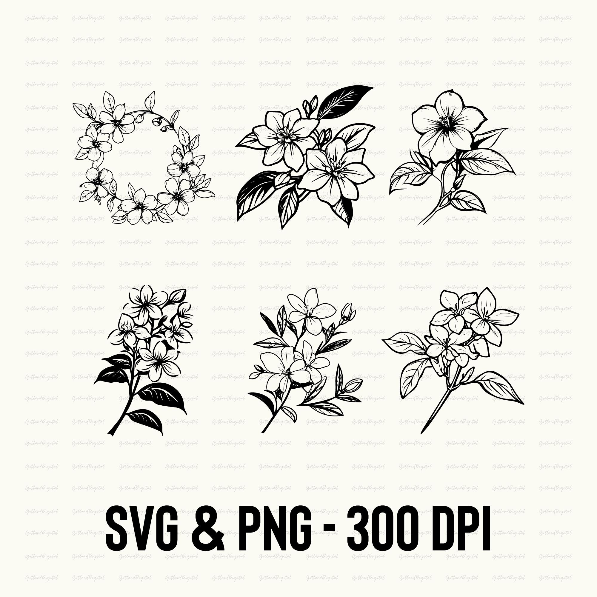 Jasmine Svg Png, Jasmine Silhouette, Jasmine Clipart, Jasmine Vector ...