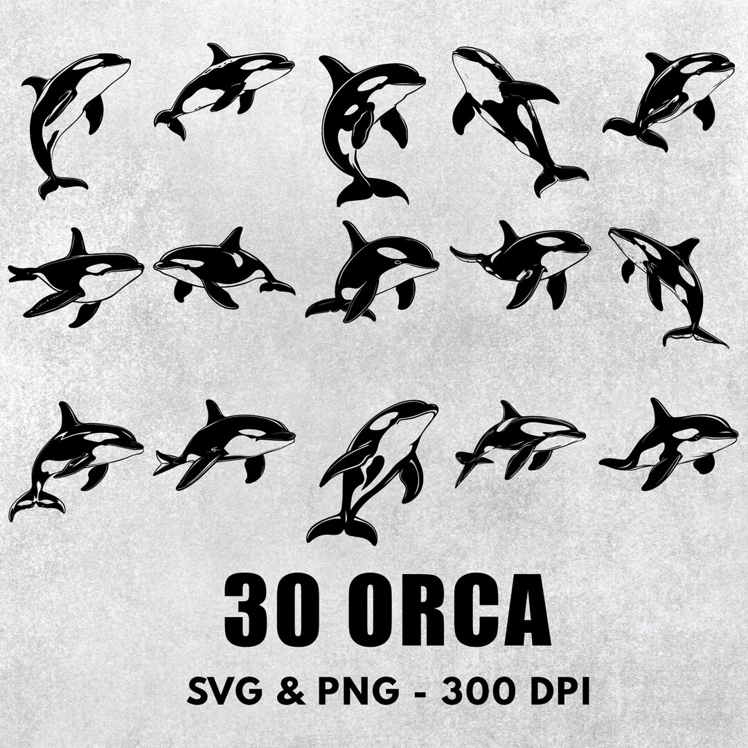 Orca Svg Bundle, Orca Vector Set, Orca Clipart, Orca Decal, Orca Art ...