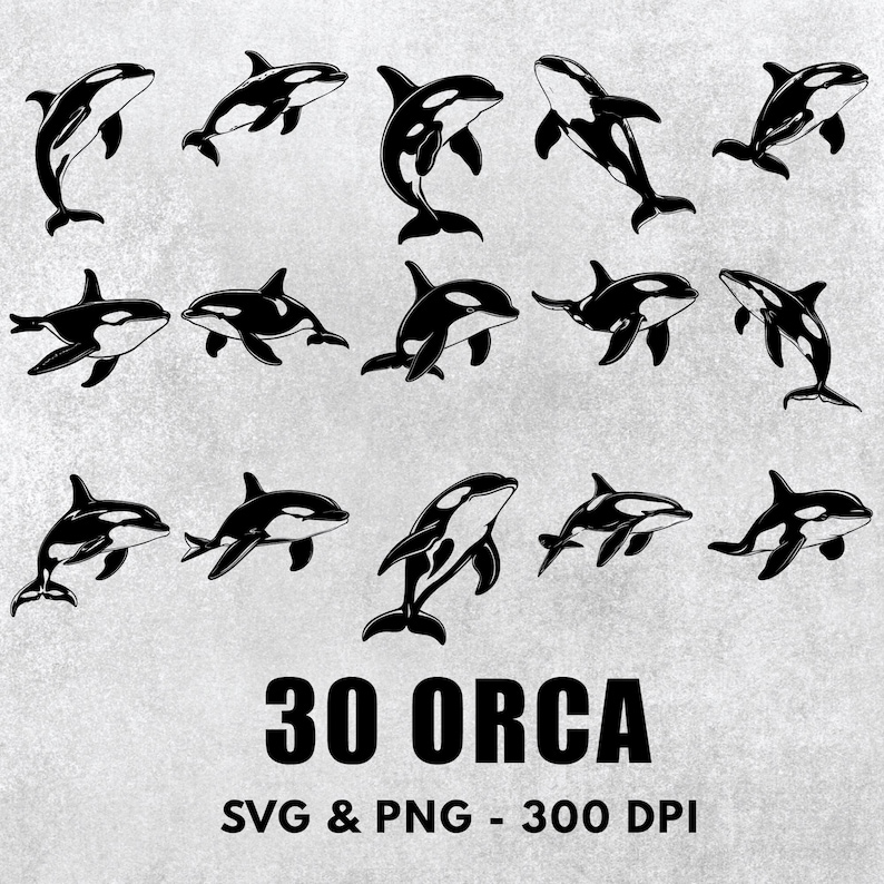Orca Svg Bundle, Orca Vector Set, Orca Clipart, Orca Decal, Orca Art ...
