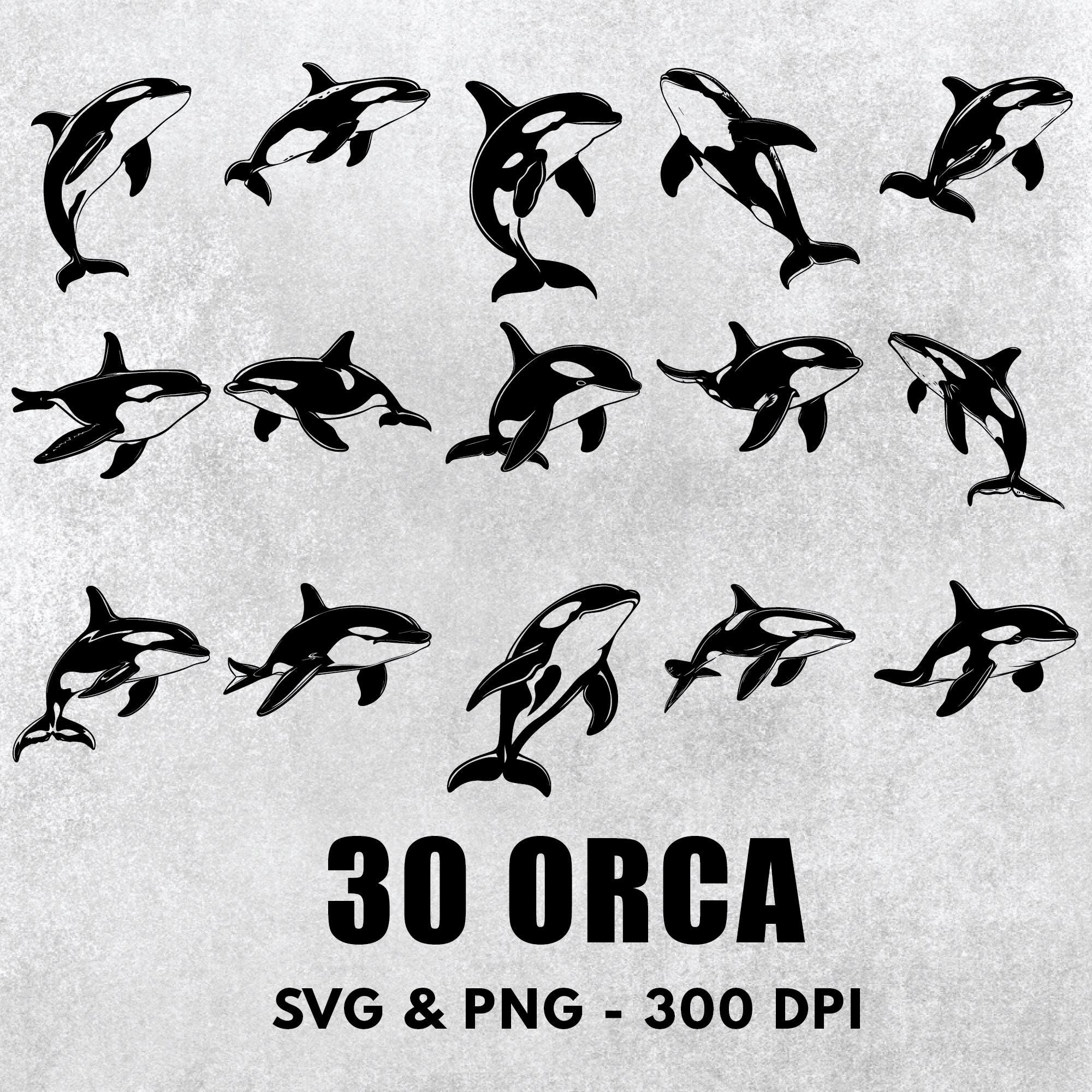 Orca Svg Bundle, Orca Vector Set, Orca Clipart, Orca Decal, Orca Art ...