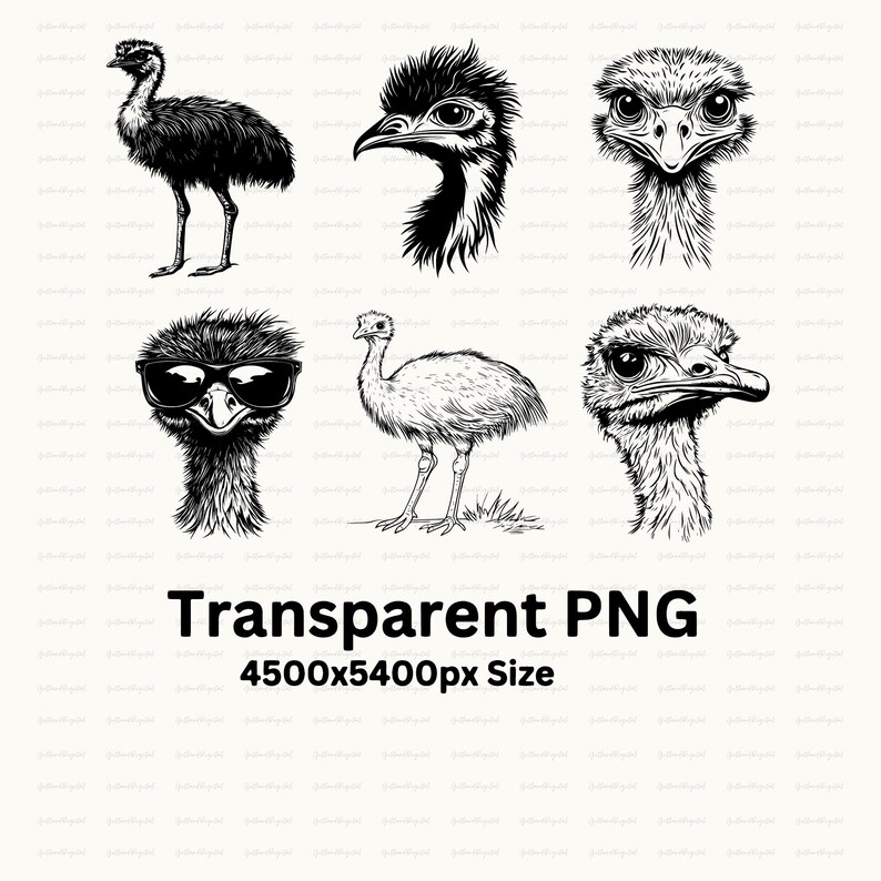Emu SVG Bundle: Silhouette Clipart Vector Designs (PNG, SVG) - Etsy