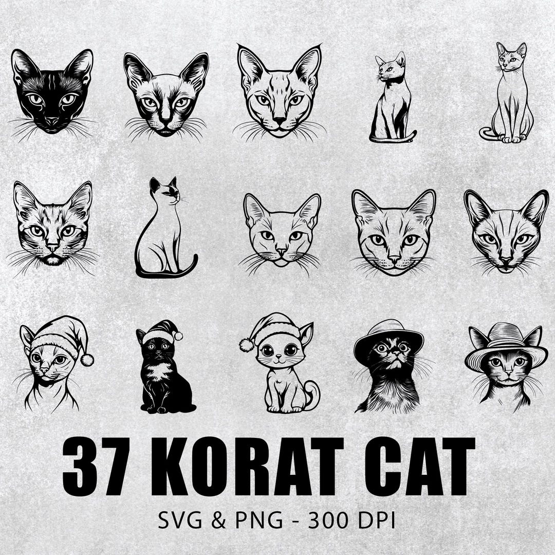Korat Cat Svg Bundle, Korat Cat Silhouette Png, Korat Cat Clipart ...