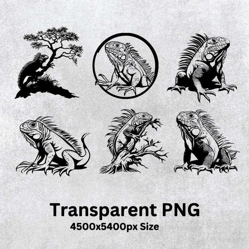 Iguana Silhouette SVG PNG Bundle: Reptile Clipart, Vector Graphics - Etsy