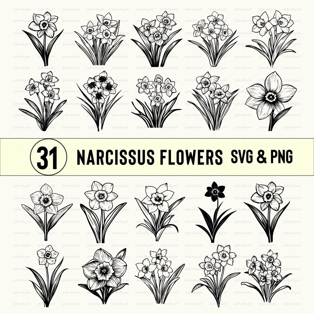 Narcissus Flowers Png Svg, Narcissus Flowers Clipart, Narcissus ...