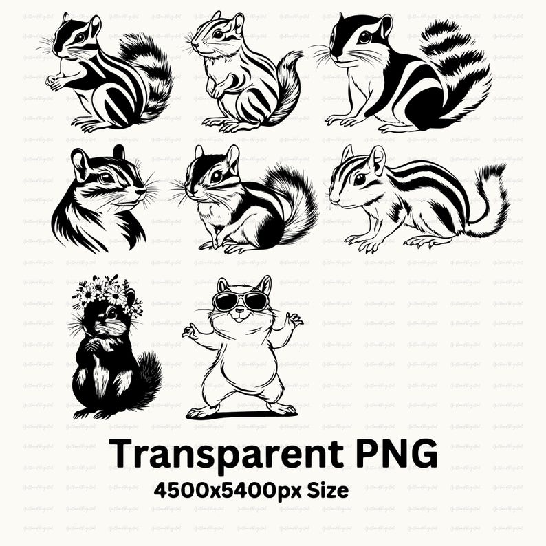 Chipmunk Silhouette SVG & PNG Clipart Bundle - Etsy