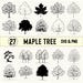 Maple Tree Silhouette: SVG PNG Clipart Vector Cut File - Etsy