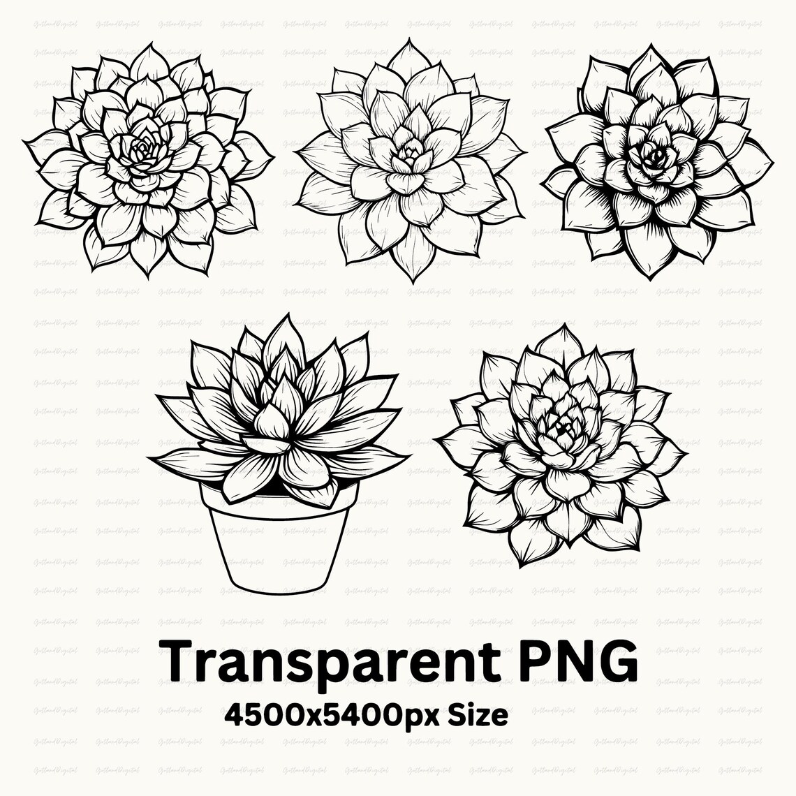 Succulent SVG Bundle: Silhouette Clipart, Decal Cut Files - Etsy