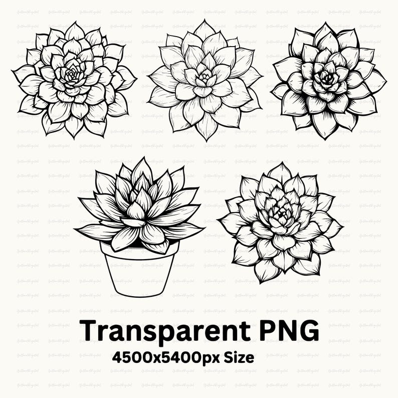 Succulent SVG Bundle: Silhouette Clipart, Decal Cut Files - Etsy