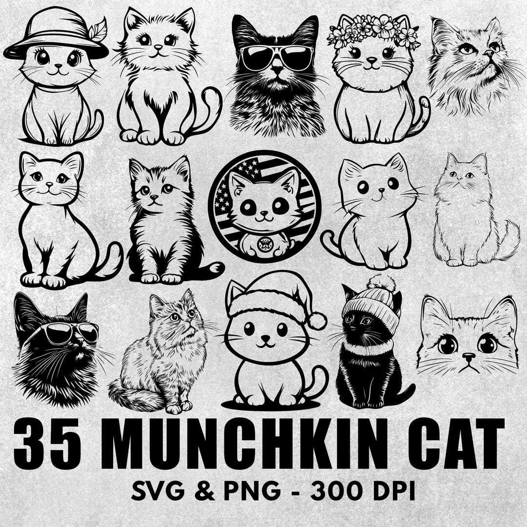 Munchkin Cat Svg Bundle, Munchkin Cat Silhouette Png, Munchkin Cat ...