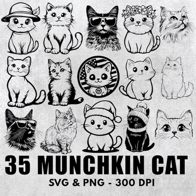 Munchkin Cat Svg Bundle, Munchkin Cat Silhouette Png, Munchkin Cat ...