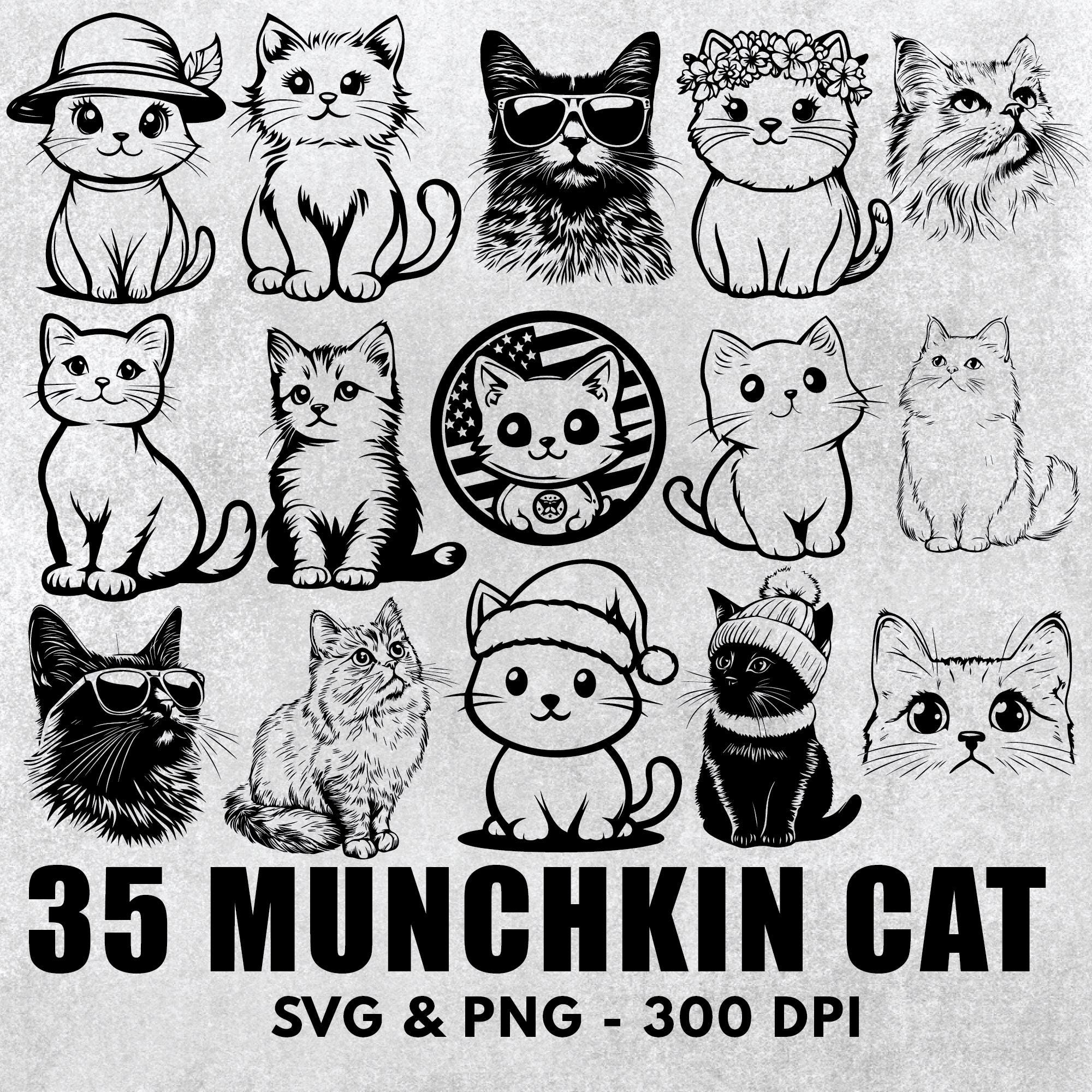 Munchkin Cat Svg Bundle, Munchkin Cat Silhouette Png, Munchkin Cat ...