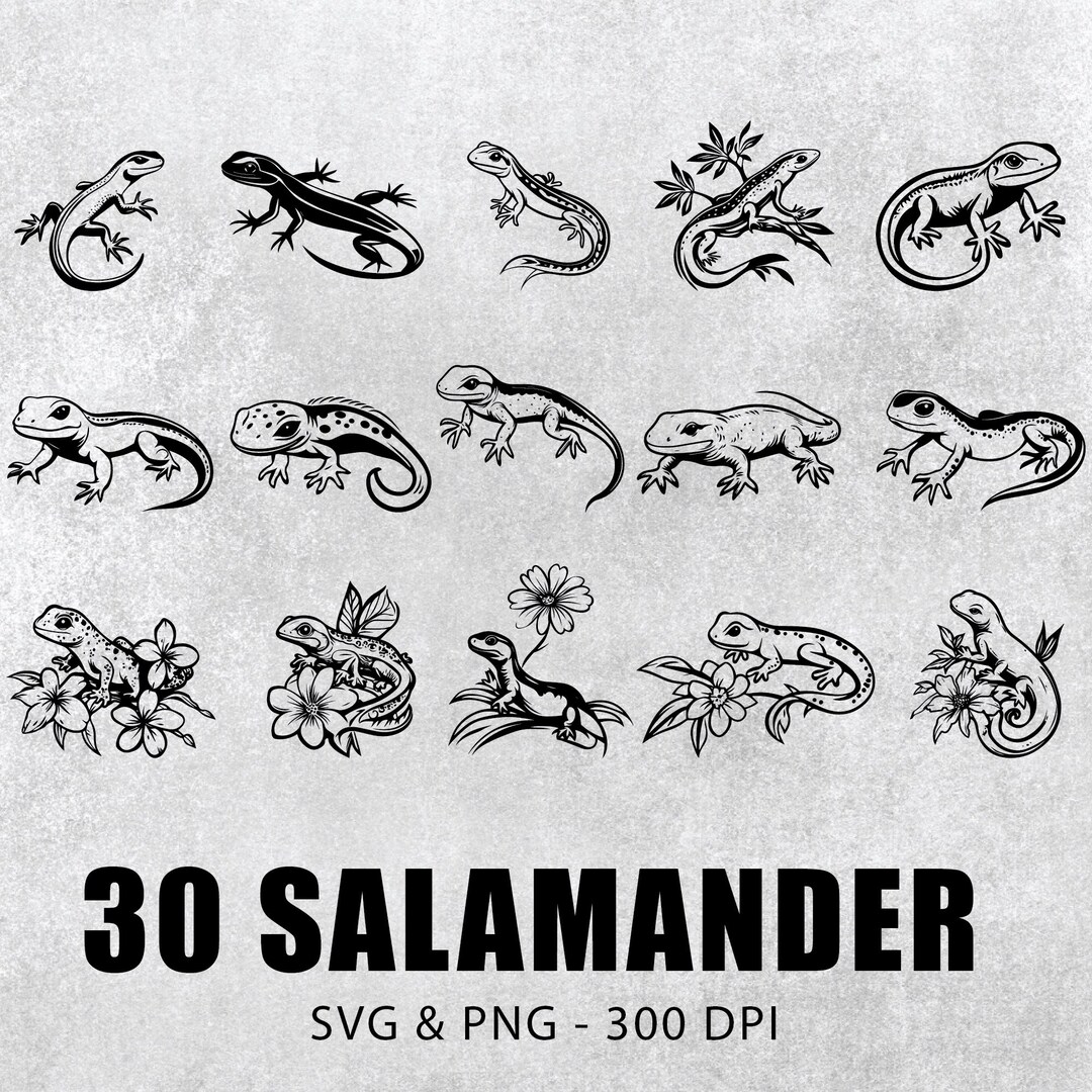 Salamander Svg Png, Salamander Clipart, Salamander Silhouette ...