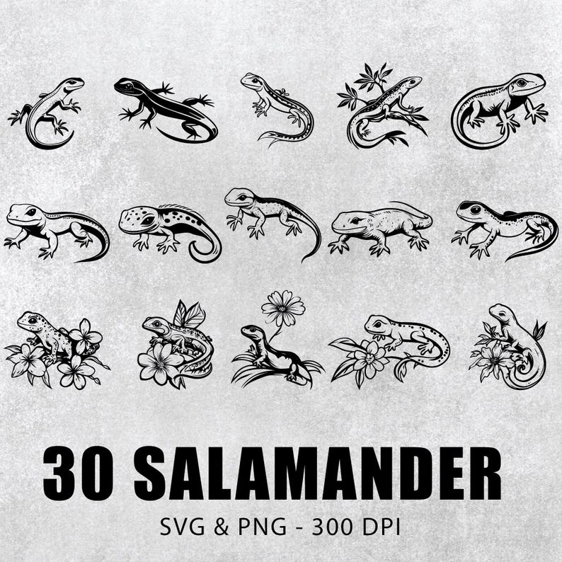 Salamander Clipart: Silhouette Vector Decal (SVG, PNG) - Etsy