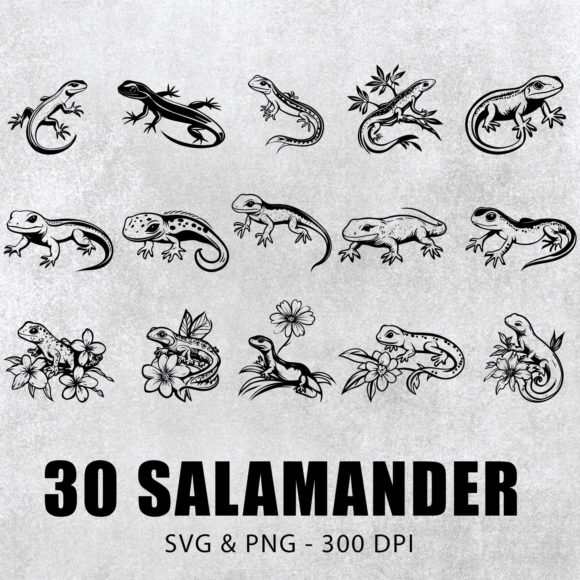 Salamander Clipart: Silhouette Vector Decal (SVG, PNG) - Etsy