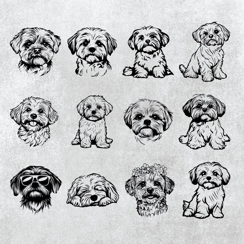 Shih Poo SVG Bundle: Silhouette Clipart Vector Designs (PNG, Cricut) - Etsy