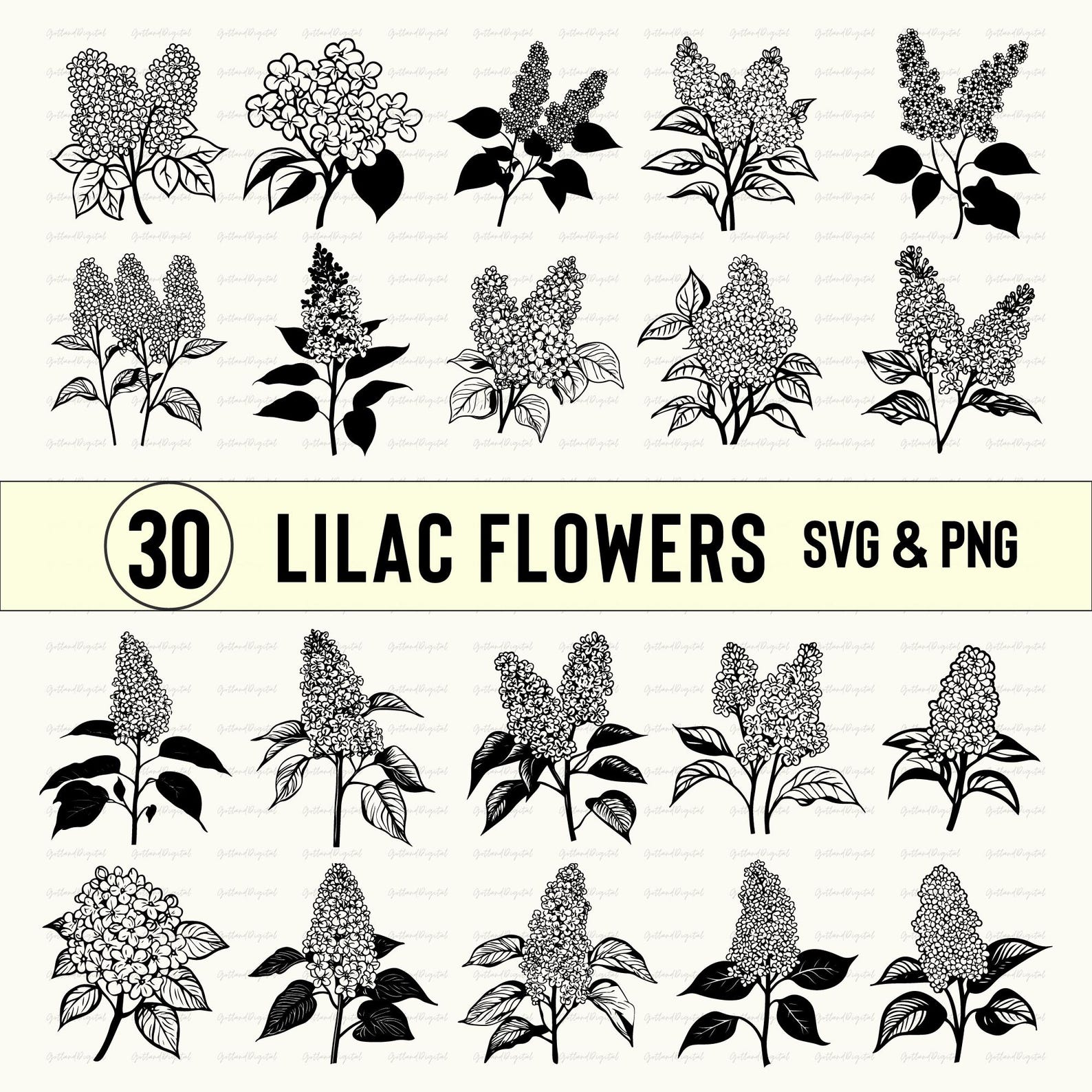 Lilac Flower SVG PNG Clipart: Silhouette Vector Cut Files - Etsy