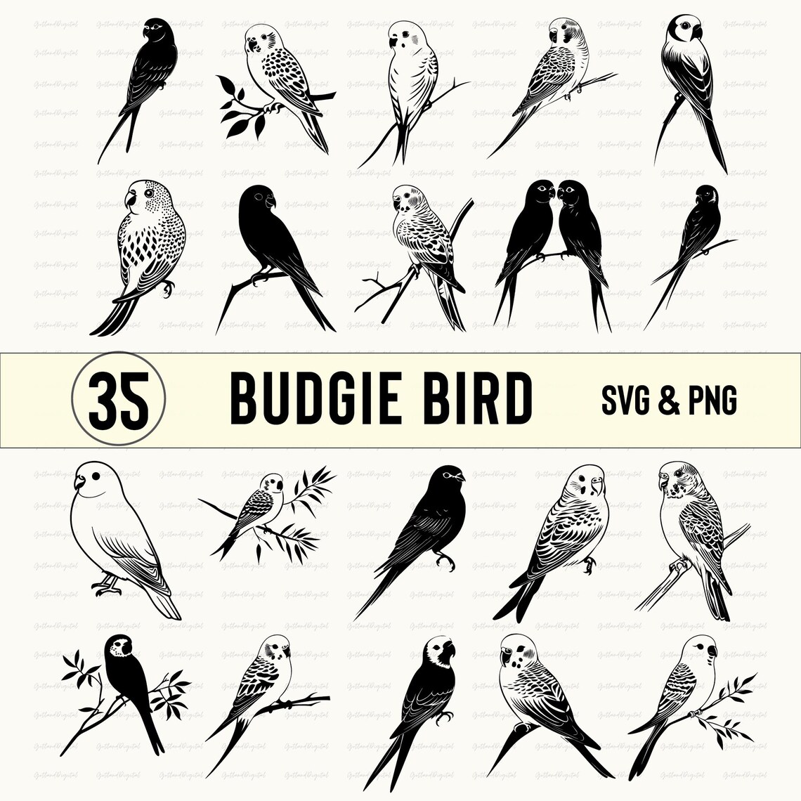 Budgie Bird Svg Bundle, Budgie Bird Silhouette, Budgie Bird Clipart ...