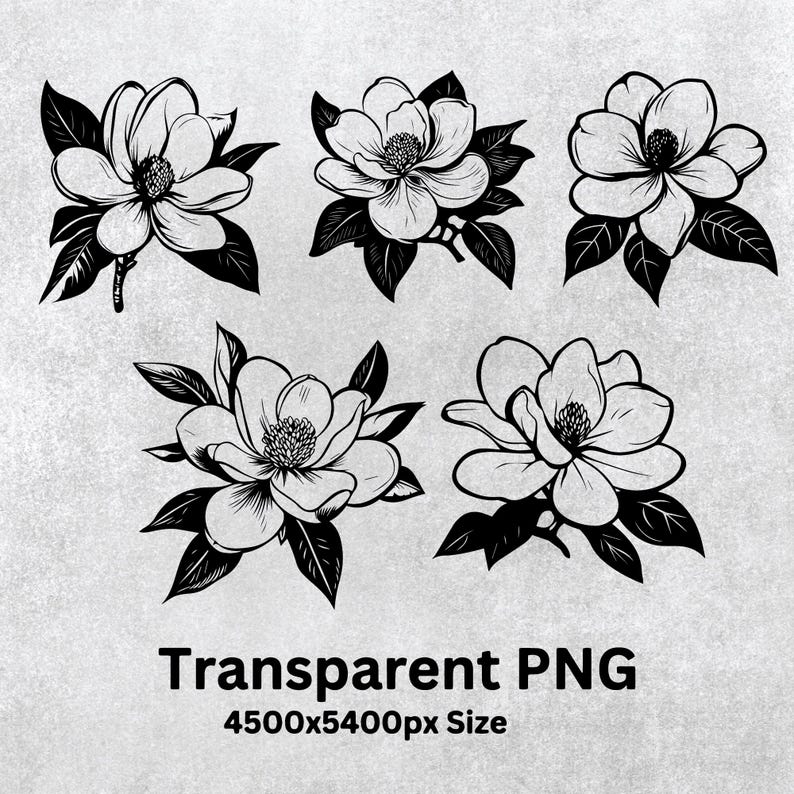 Magnolia Svg Bundle, Magnolia Vector Set, Magnolia Clipart, Magnolia ...