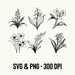 Valley Flower SVG PNG Bundle: Floral Clipart, Silhouette, Vector ...