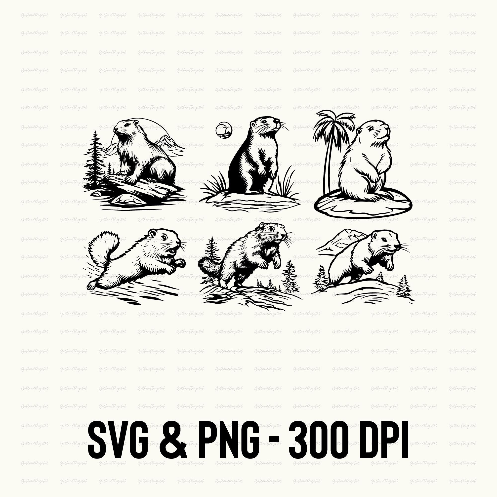 Marmot Svg Png, Marmot Clipart, Marmot Silhouette, Marmot Vector Art ...