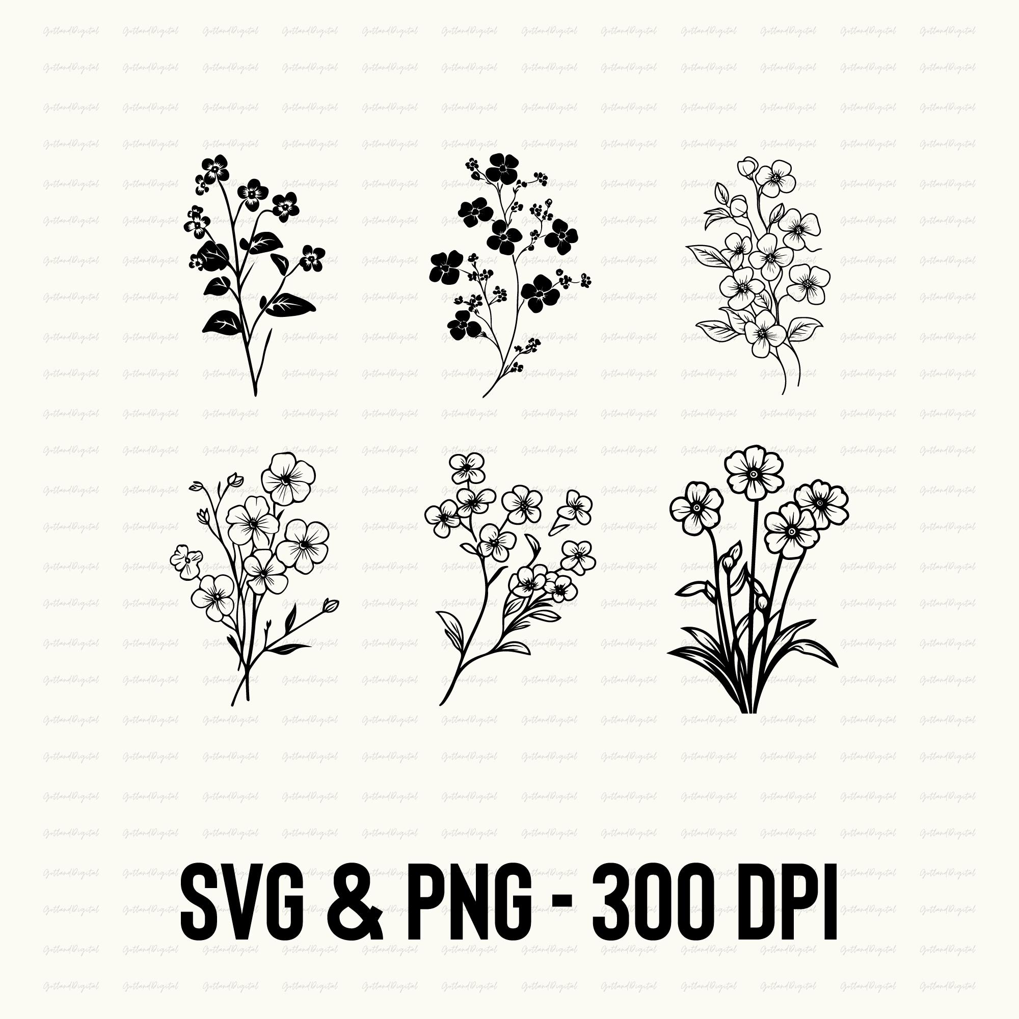Forget Me Not Flowers SVG PNG Bundle: Floral Clipart, Silhouette ...