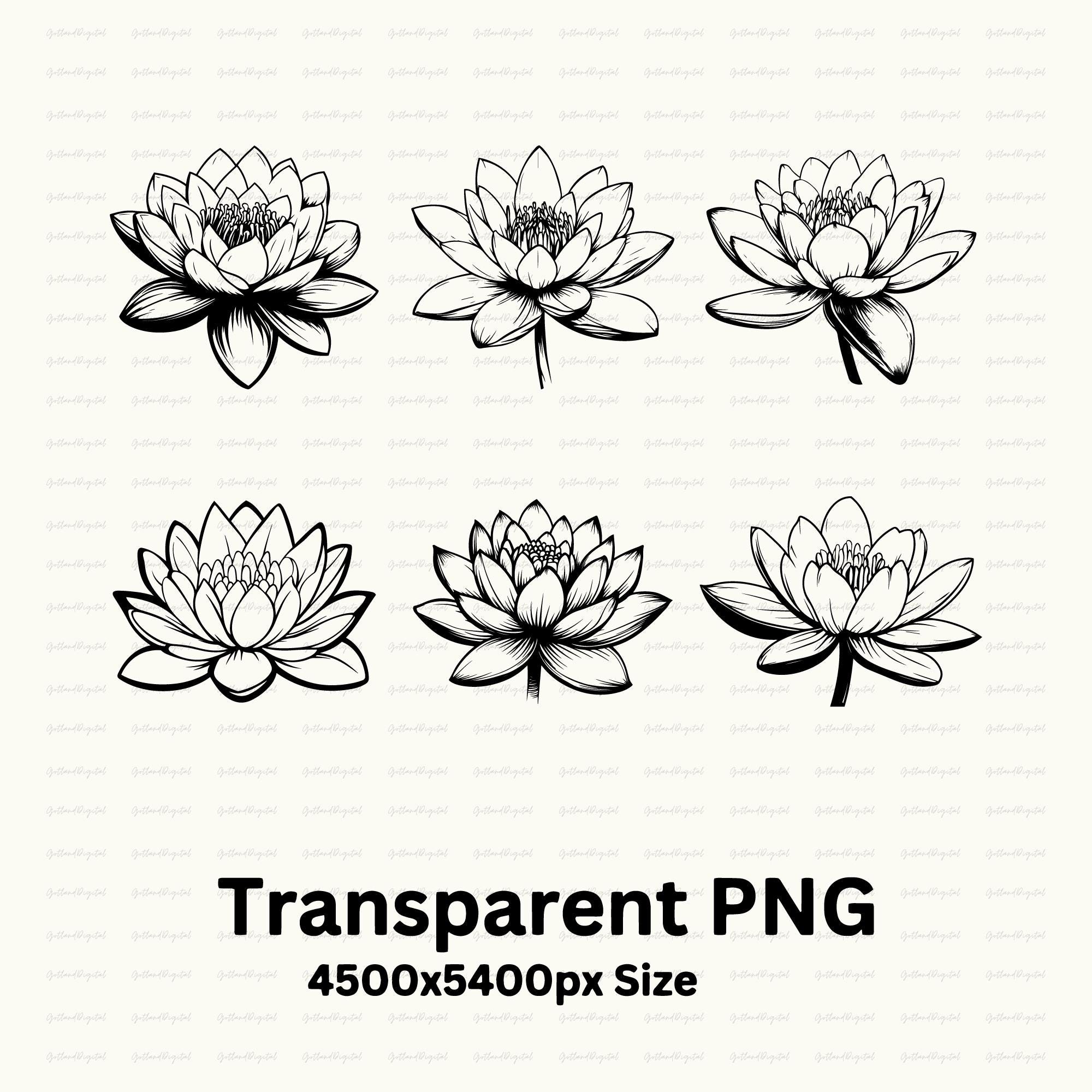 Water Lily Clipart: Floral SVG PNG Vector Cut Files - Etsy