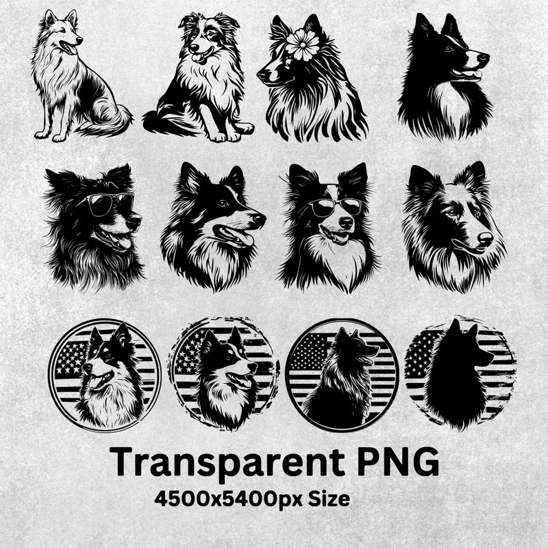 Rough Collie Silhouette Bundle, Rough Collie Vector, Rough Collie ...