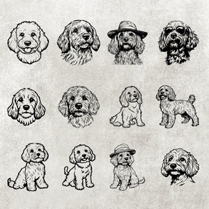 Cockapoo Svg Bundle, Cockapoo Silhouette, Cockapoo Clipart Vector ...