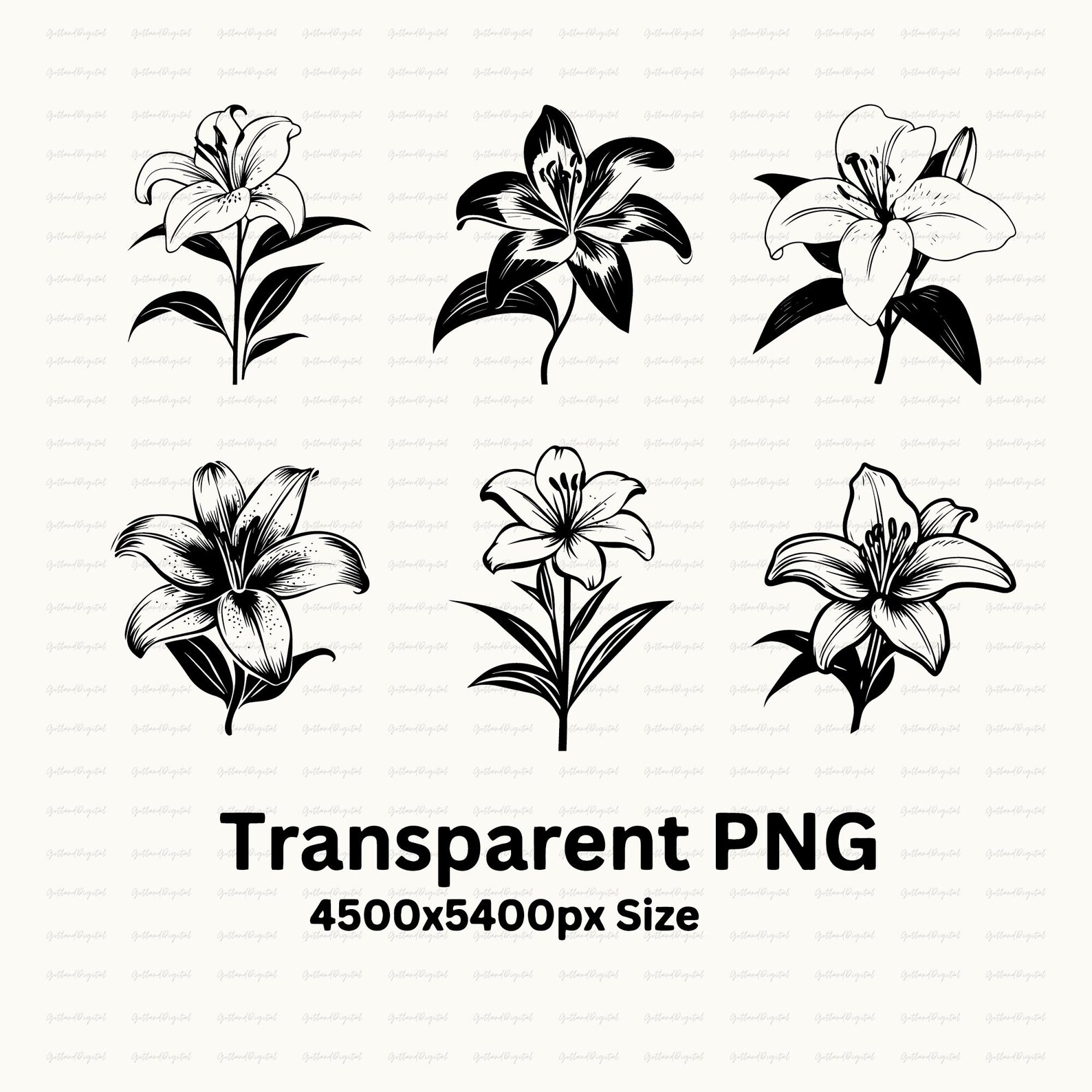 Lily Flower SVG Bundle: Silhouette Clipart, Vector Decal (PNG) - Etsy