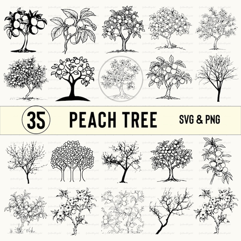 Peach Tree Svg Png, Peach Tree Clipart, Peach Tree Silhouette, Peach ...