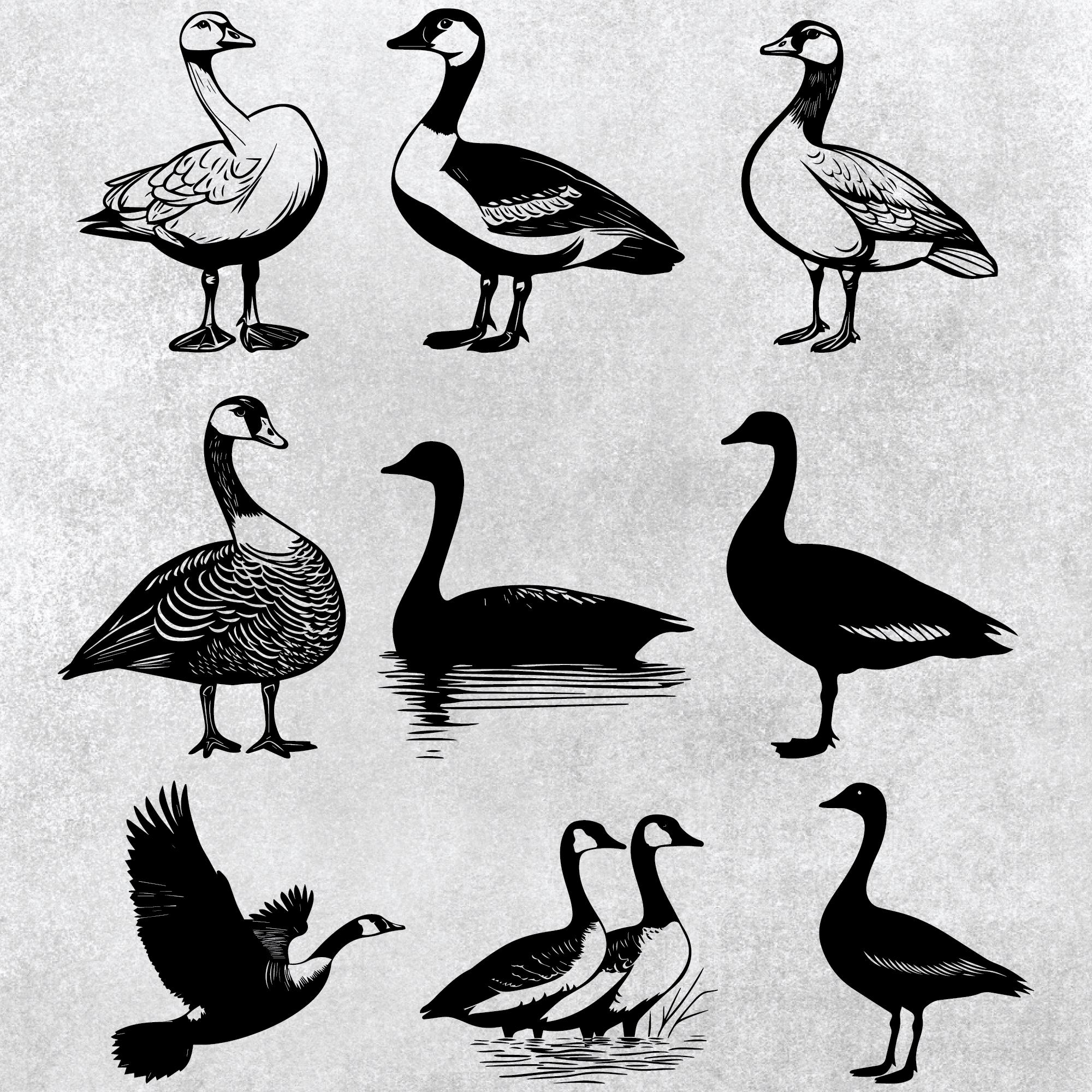 Canadian Goose Silhouette Bundle Svg, Canadian Goose Svg Vector Set ...