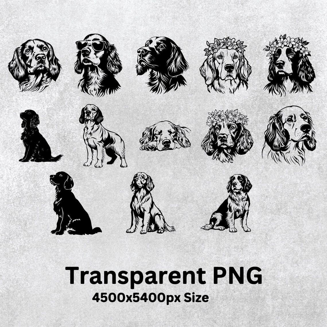 Welsh Springer Spaniel SVG Bundle, Clipart, Silhouette and Cricut Files ...