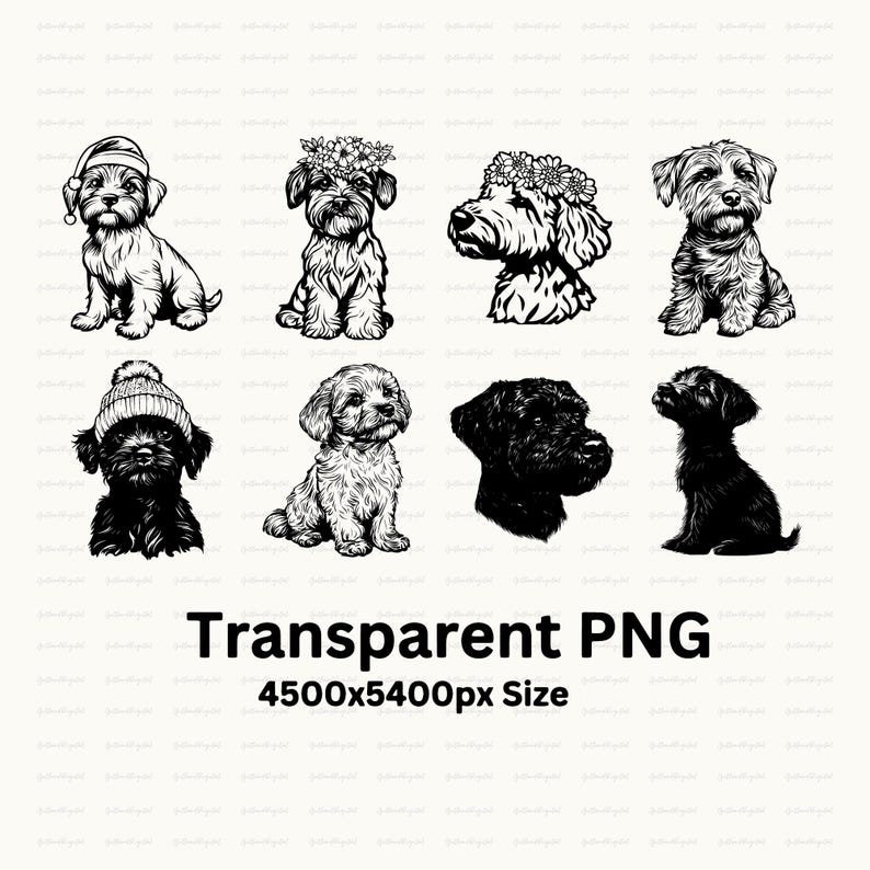 Schnoodle Dog Silhouette Bundle: SVG, PNG, Cricut Cut Files - Etsy