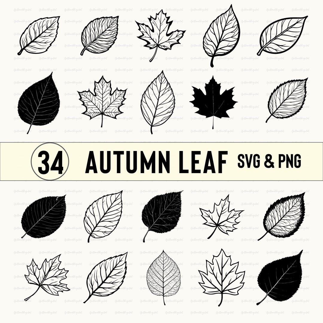 Autumn Leaf Silhouette Bundle Svg, Autumn Leaf Svg Vector Set, Autumn ...