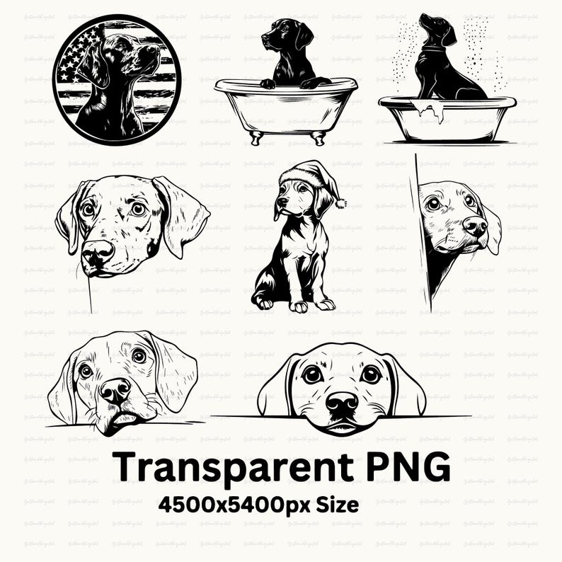Vizsla Dog SVG Bundle: Silhouette Clipart, Decal Cut Files - Etsy