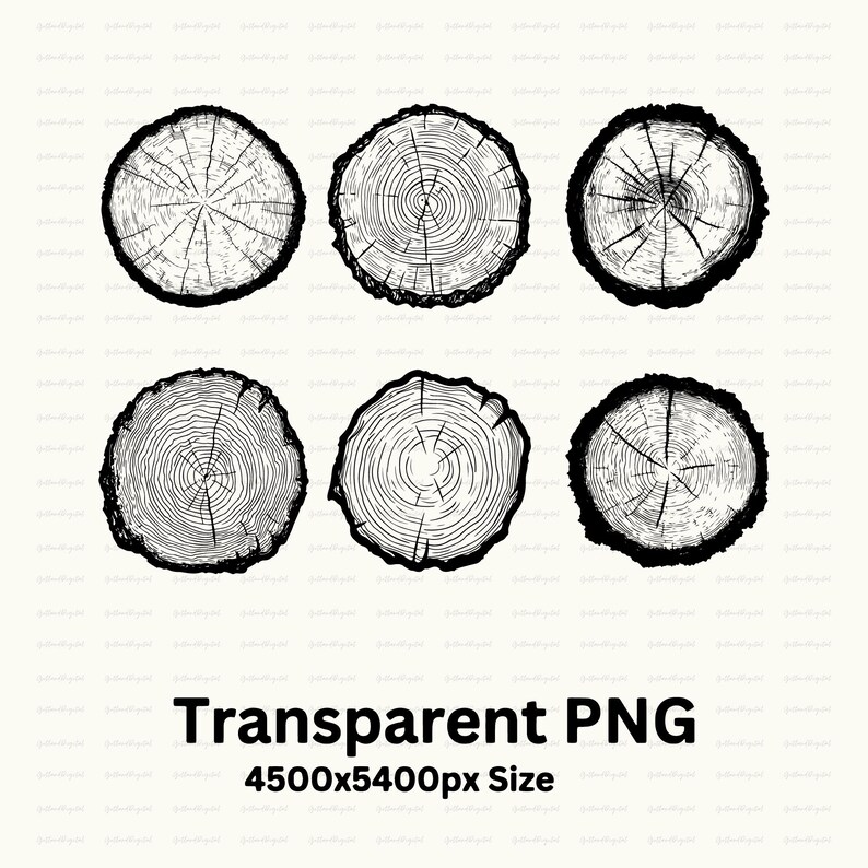 Tree Slice Slab Svg Png, Tree Slice Slab Clipart, Tree Slice Slab ...