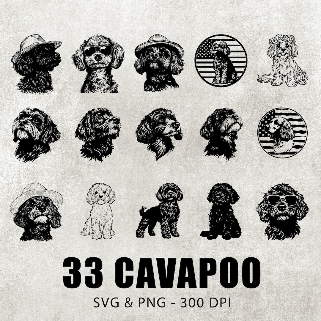 Cavapoo Silhouette Bundle, Cavapoo Vector, Cavapoo Clipart Vector ...