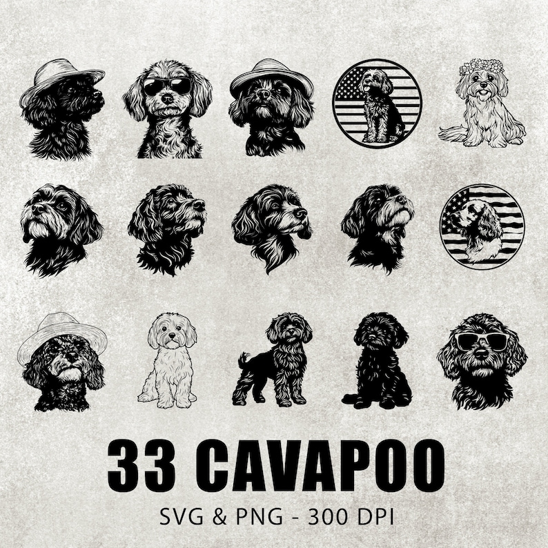 Cavapoo Silhouette Bundle, Cavapoo Vector, Cavapoo Clipart Vector, Cavapoo Decal, Cavapoo Lover ...