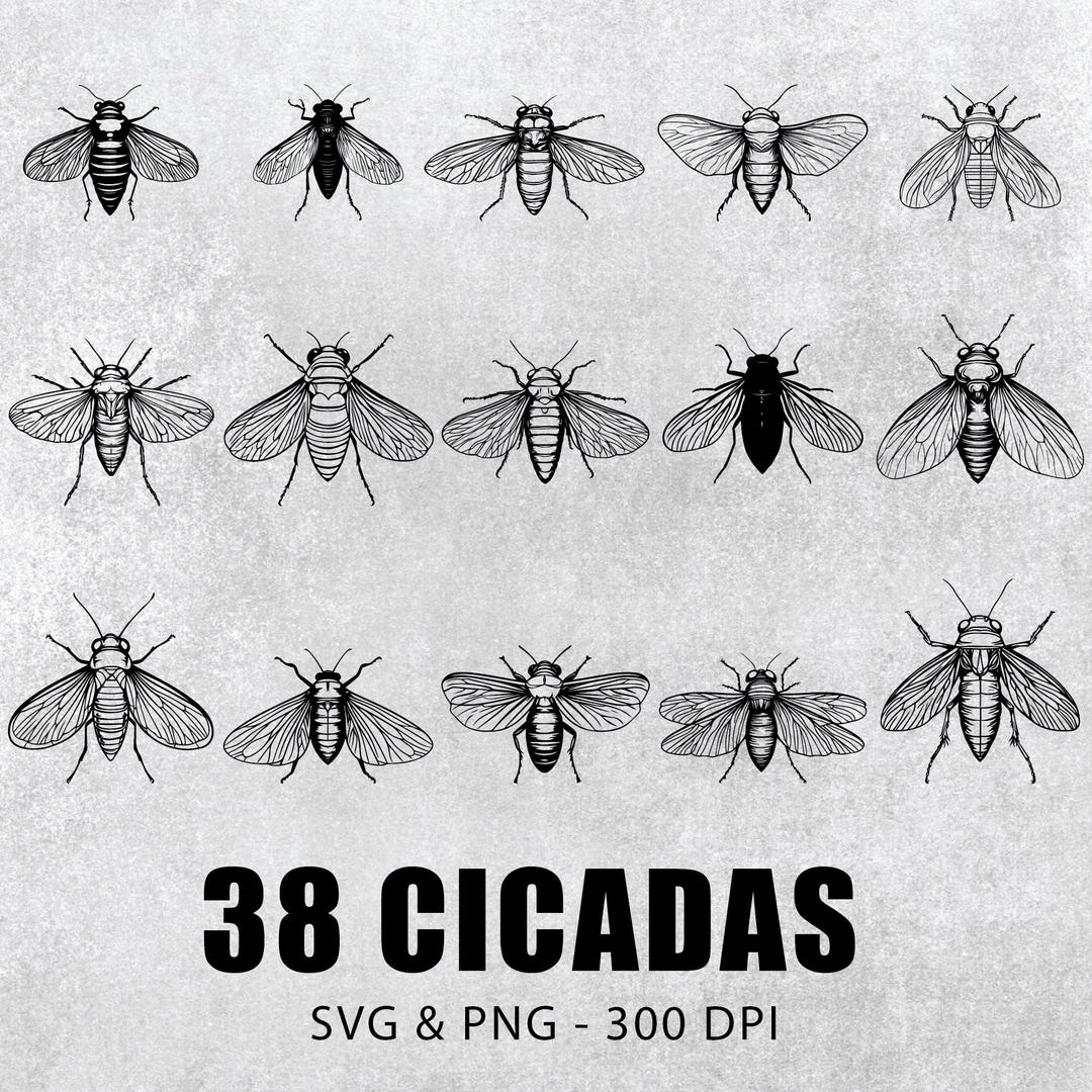 Cicadas Silhouette Bundle Svg, Cicadas Svg Vector Set, Cicadas Clipart ...
